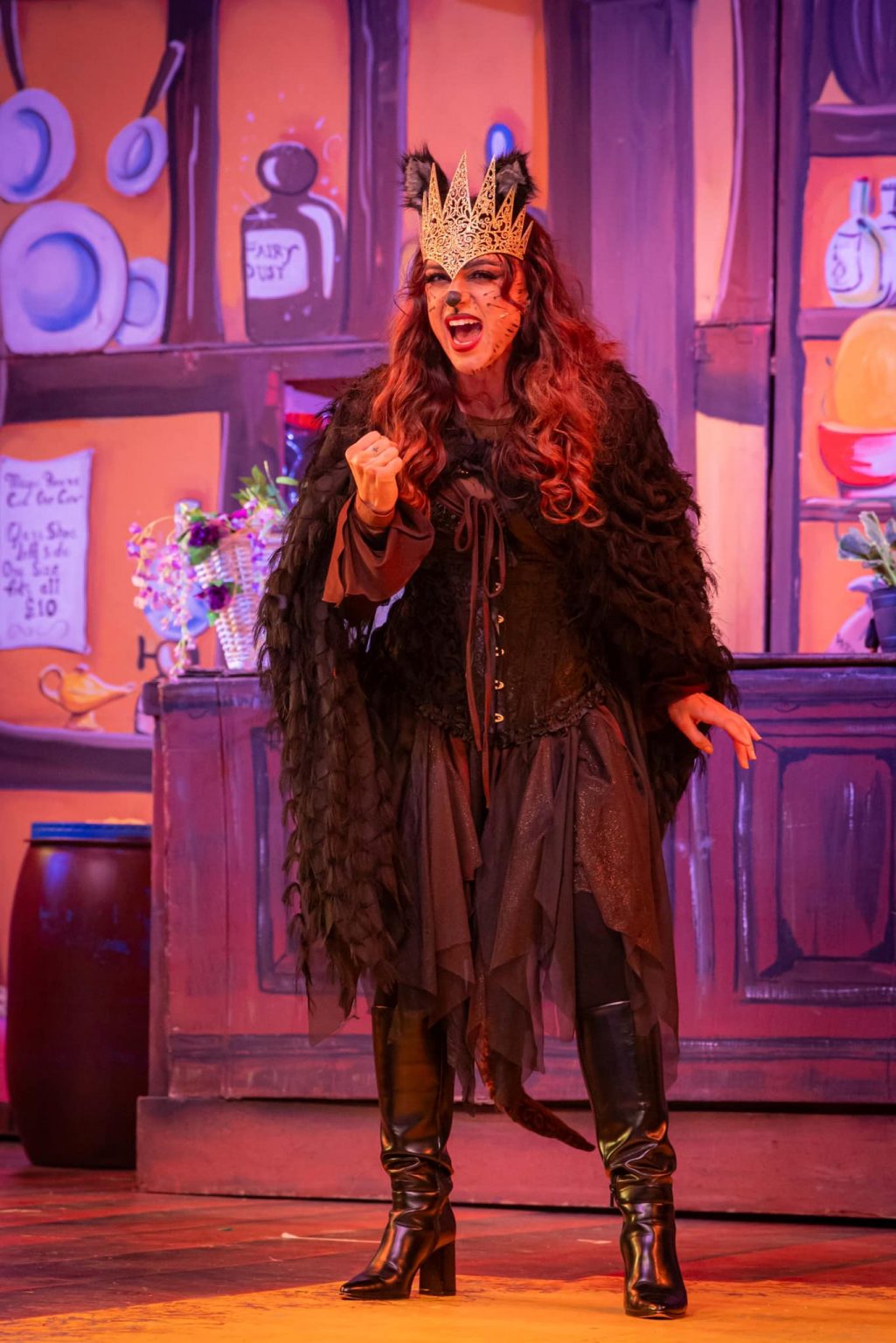 Photo Gallery - Chrysanths' Pantomime